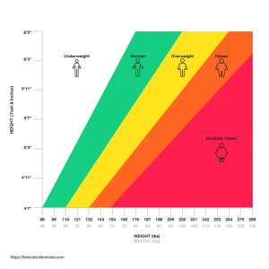 BMI Calculator India - Calculate Your Body Mass Index